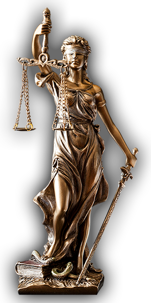 Odvjetnik Jolanda Velnić